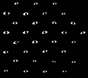 Monster Kitchen | Unique Canberra Dining | Ovolo Nishi