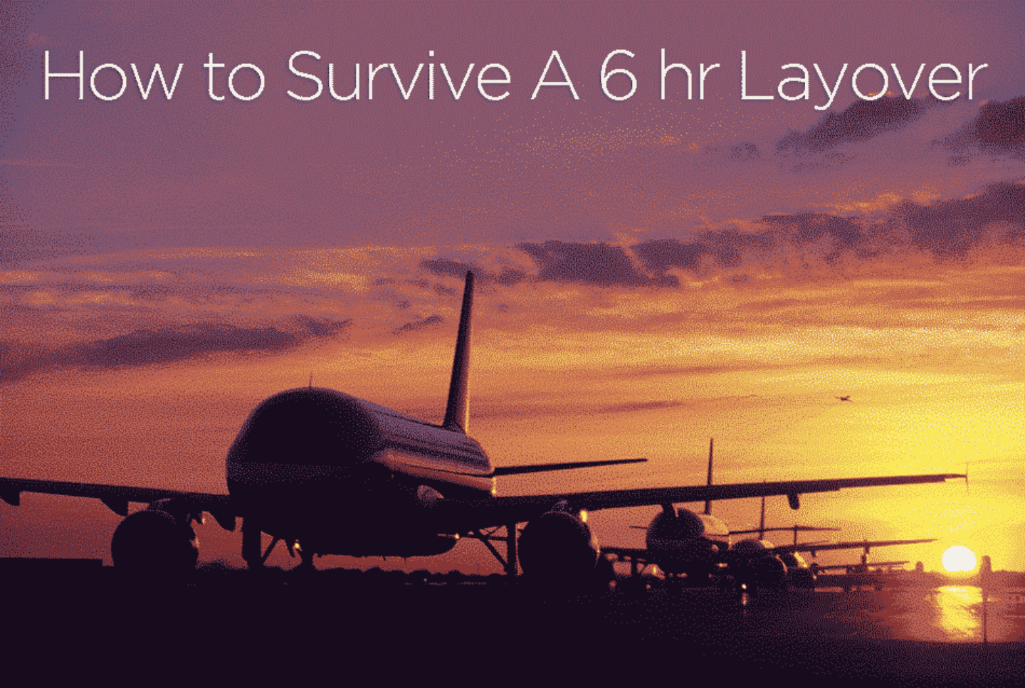 How to Survive A 6 hr Layover - Ovolo Hotels