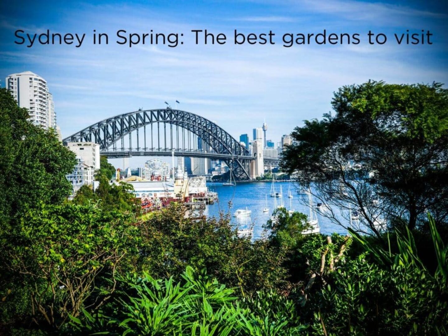 Sydney in Spring: The best gardens to visit - Ovolo Hotels
