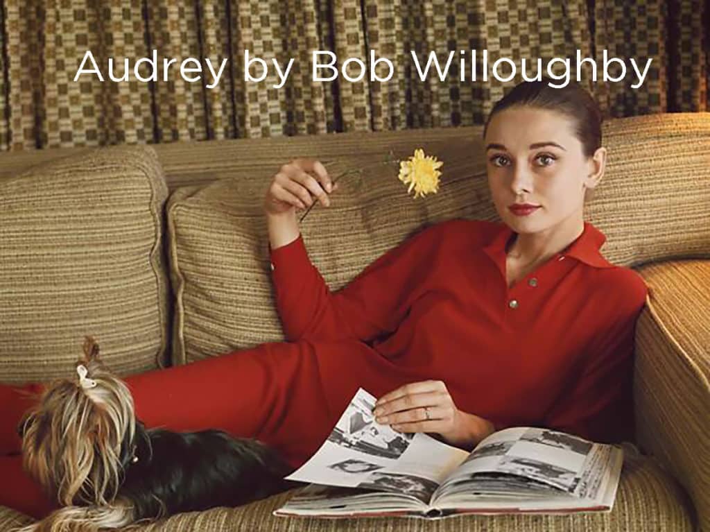 Audrey by Bob Willoughby - Ovolo Hotels