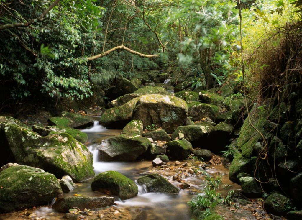 5 Secret Trails in Hong Kong - Hiking in Hong Kong