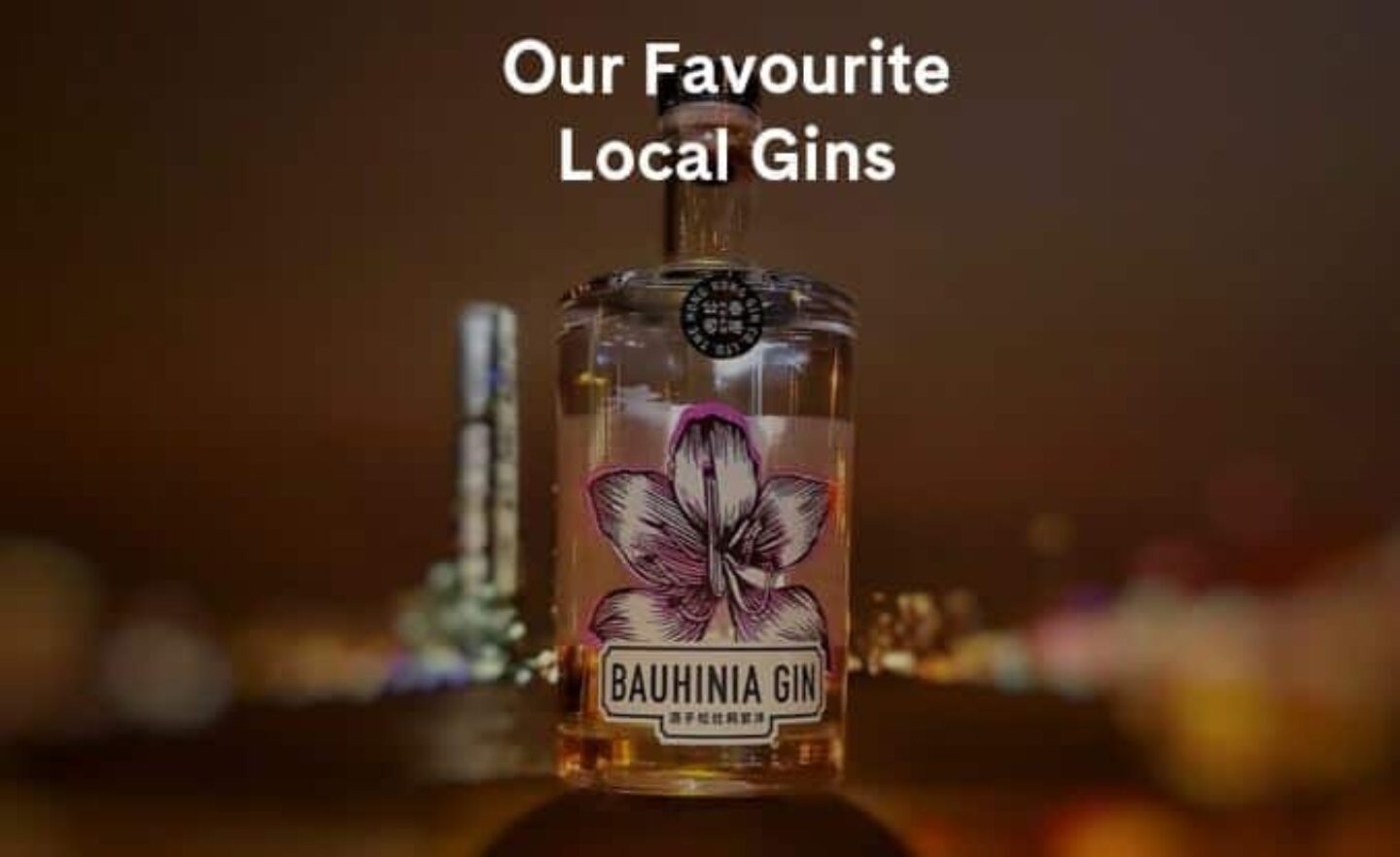 Our Favourite Local Gins - Ovolo Hotels