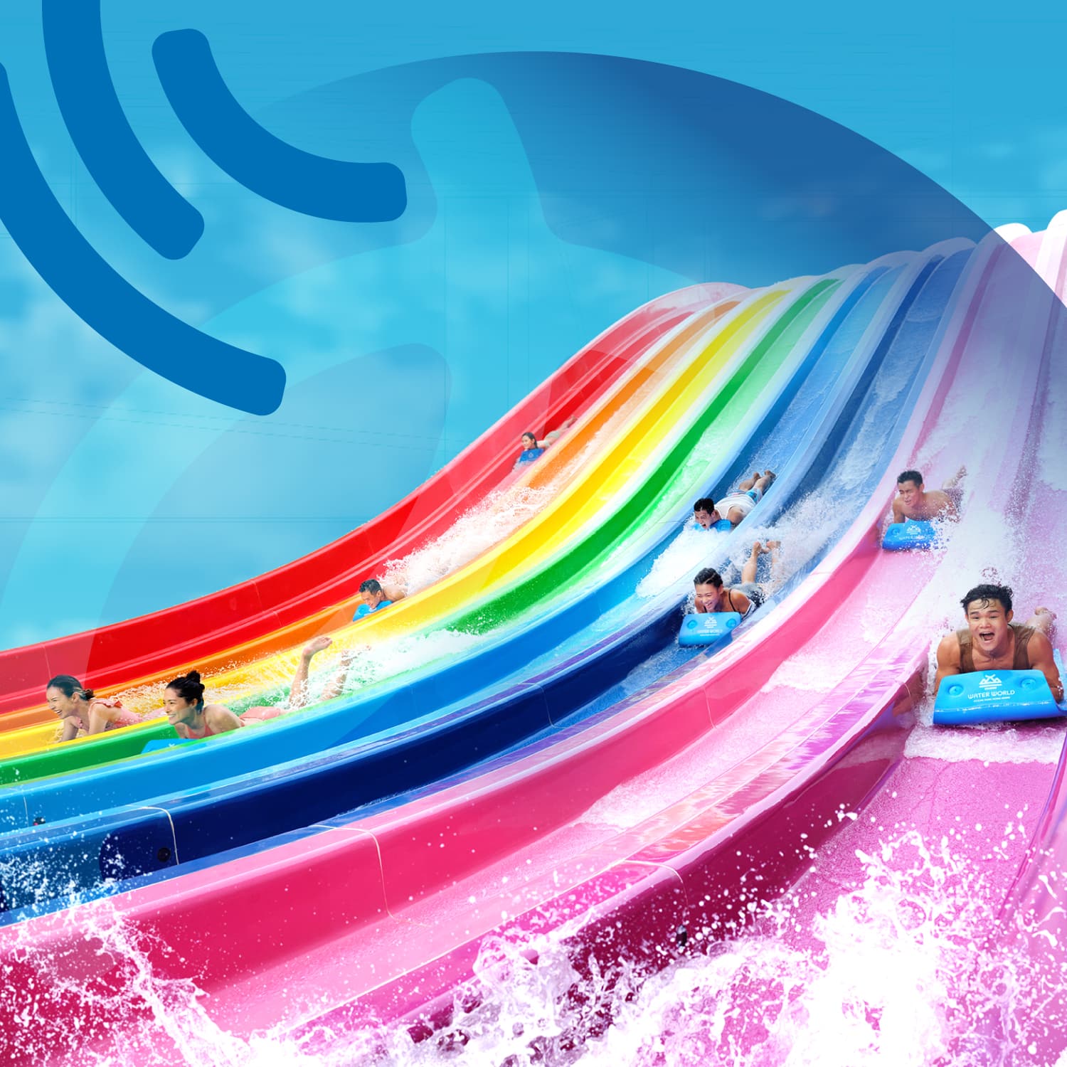 Experience Ocean Park & Water World | Ovolo Hotels Hong Kong