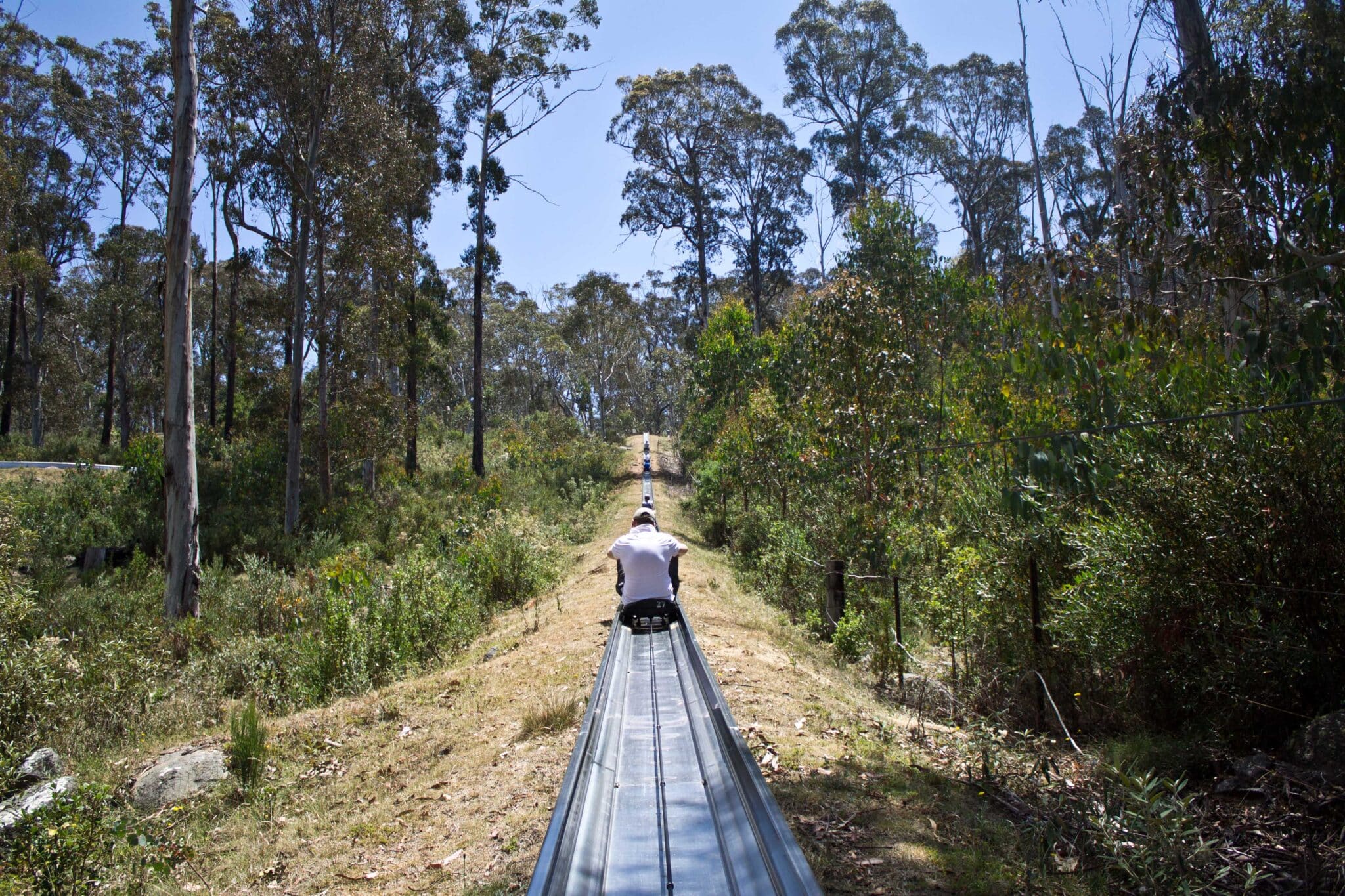 THE INSIDER: Canberra Comes Alive - Ovolo Hotels